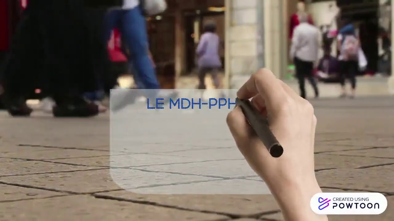 Inclusion. Expliquer le modèle de développement humain-Processus de production du handicap (MDH-PPH)