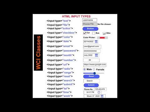 HTML Input Tag & its attribute value