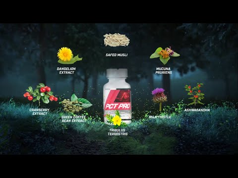 Pre workout Supplements - Pre workout Powder Latest Price ...