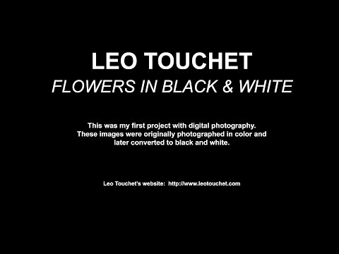 FLOWERS IN BLACK & WHITE
