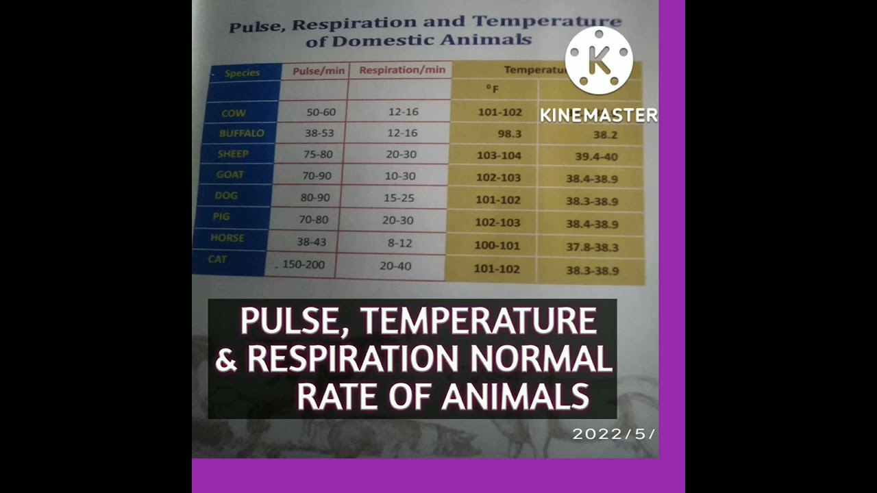 Normal Rate of Pulse, Body Temperature (Rectal), & Respiration of Cattle, Sheep, Goat, Pig Dog, Cat.