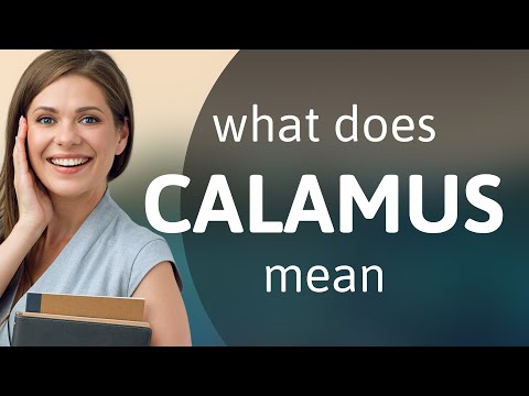 Calamus | what is CALAMUS meaning