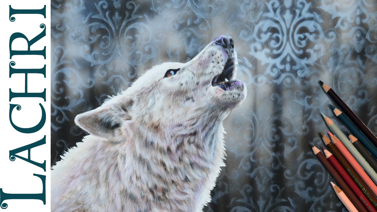 White Wolf colored pencil and airbrush speed drawing - Time Lapse Demo by Lachri