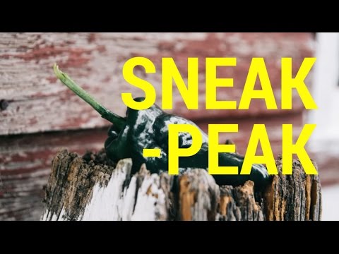 Rutgers Ultra Niche Crops | Specialty Peppers Sneak Peek