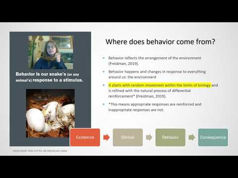 What Behavior Is & Why it Matters!