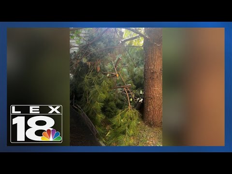 Resident concerned after Lexington neighborhood left in poor condition following power restoration