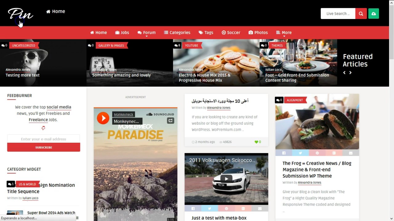 Pin WordPress Theme - Menu Setup
