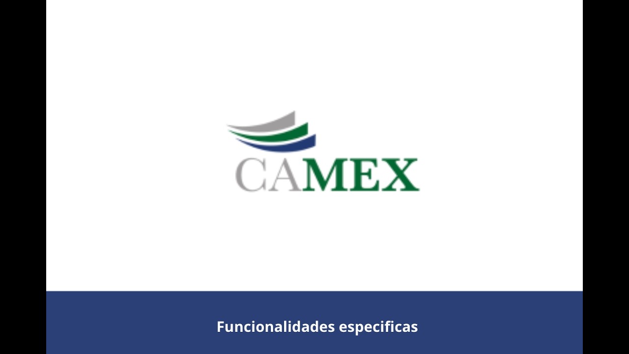 CAMEX Funcionalidades Chat