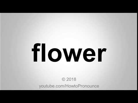 How to Pronounce flower
