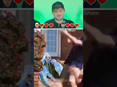 Funny Animals ๐น๐น | 57
