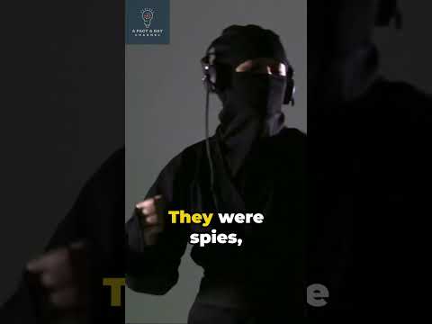 Unveiling the Secrets: Japanese Ninjas - Fact or Fiction? #japaneseninja #ninja