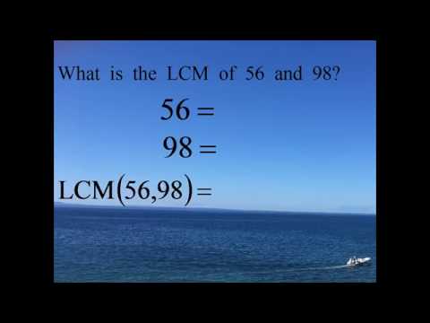Write the prime factorizations of 56, 98. What is the Least Common Multiple of 56 and 98?