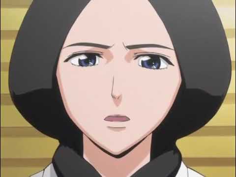 You aided the Ryoka