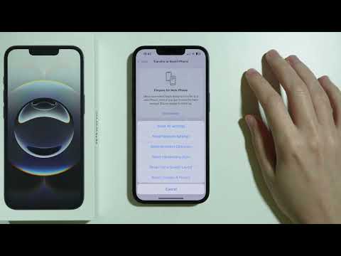 iPhone 16e: How to Reset Cellular Data Settings