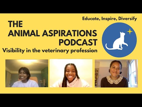 The Animal Aspirations Podcast - Visibility in the veterinary profession (Episode 4)