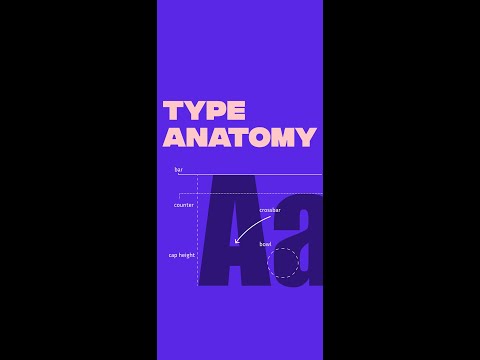 Type Anatomy in 60 seconds