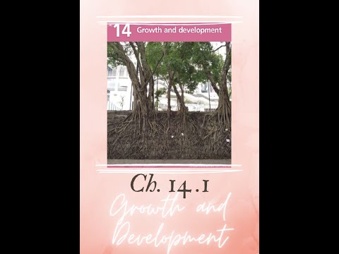 Biology|Ch.14.1 |Growth and Development 生展與發育|GoThrough|Definition