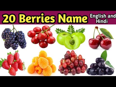 20 Berries Name With Pictures || बेरीज के नाम | Berries Name in English and Hindi | Berry for kids