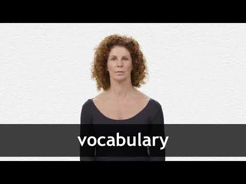 VOCABULARY - Definition & Translations | Collins English Dictionary