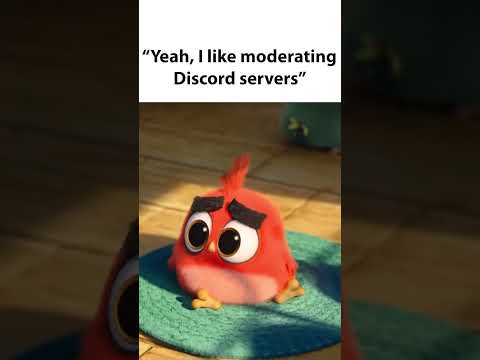 "Yeah. I'm a Discord Mod"