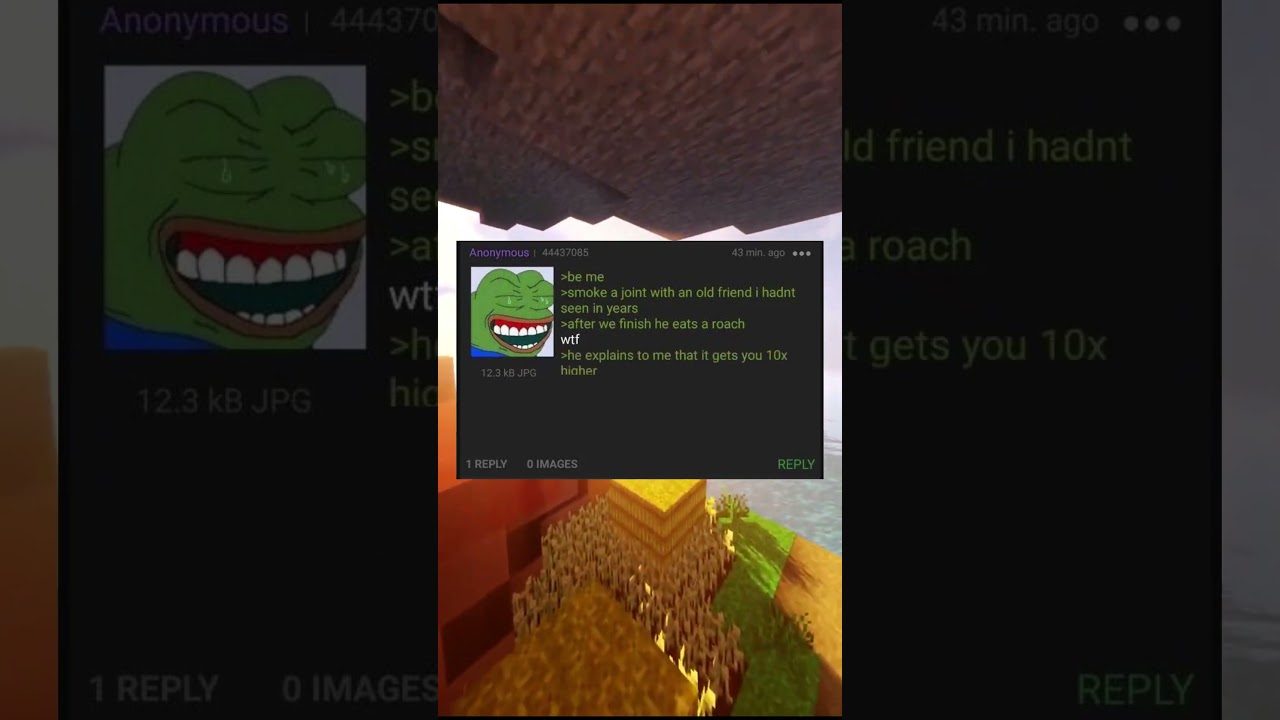 Anon Tells His Friend a Joke | 4chan Greentext #shorts #greentext #4chan  #memes