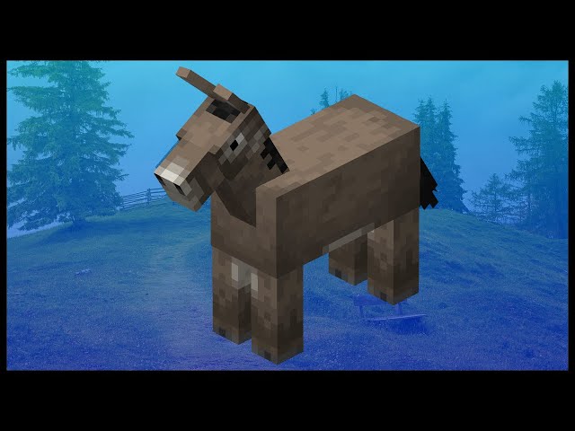Where to find donkeys in Minecraft