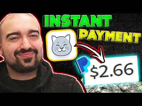 Curious Cat App Review: Can You Complete Surveys For Rewards? (My Real Experience)