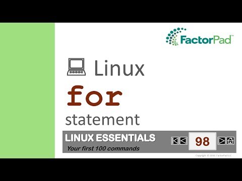 Linux bash for loop with examples