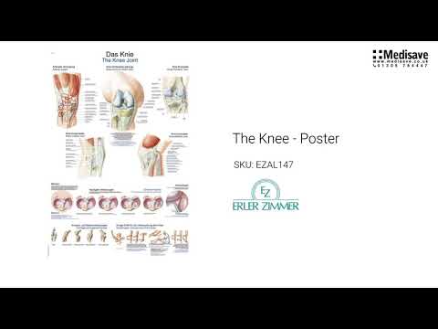 The Knee Poster EZAL147