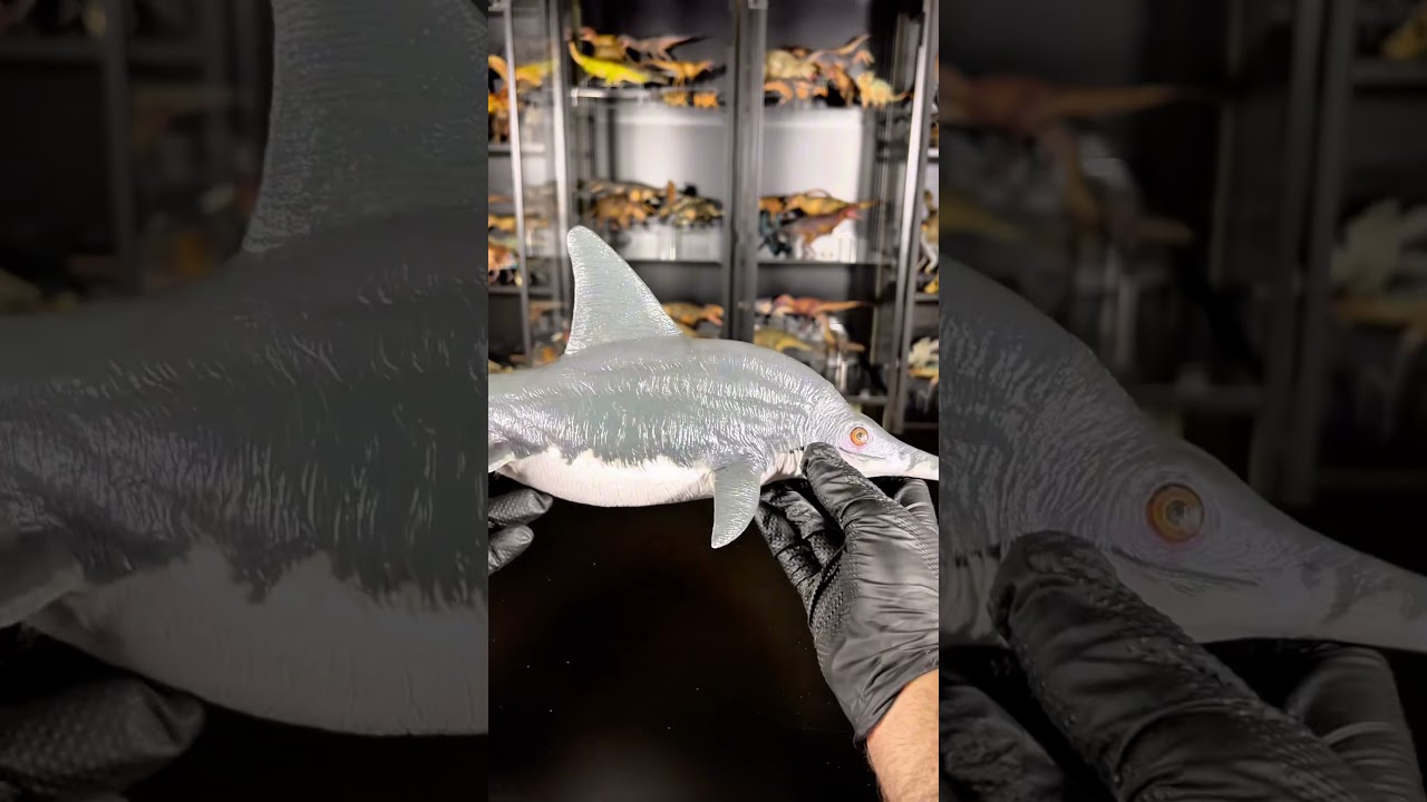 New unboxing 41/26 Ophthalmosaurus by PNSO