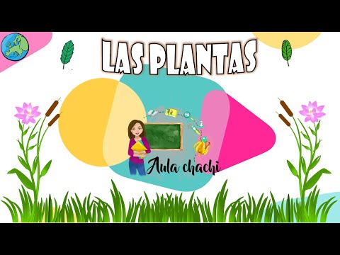 TOMi.digital - LAS PLANTAS Y LOS ANIMALES
