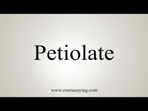 How To Say Petiolate
