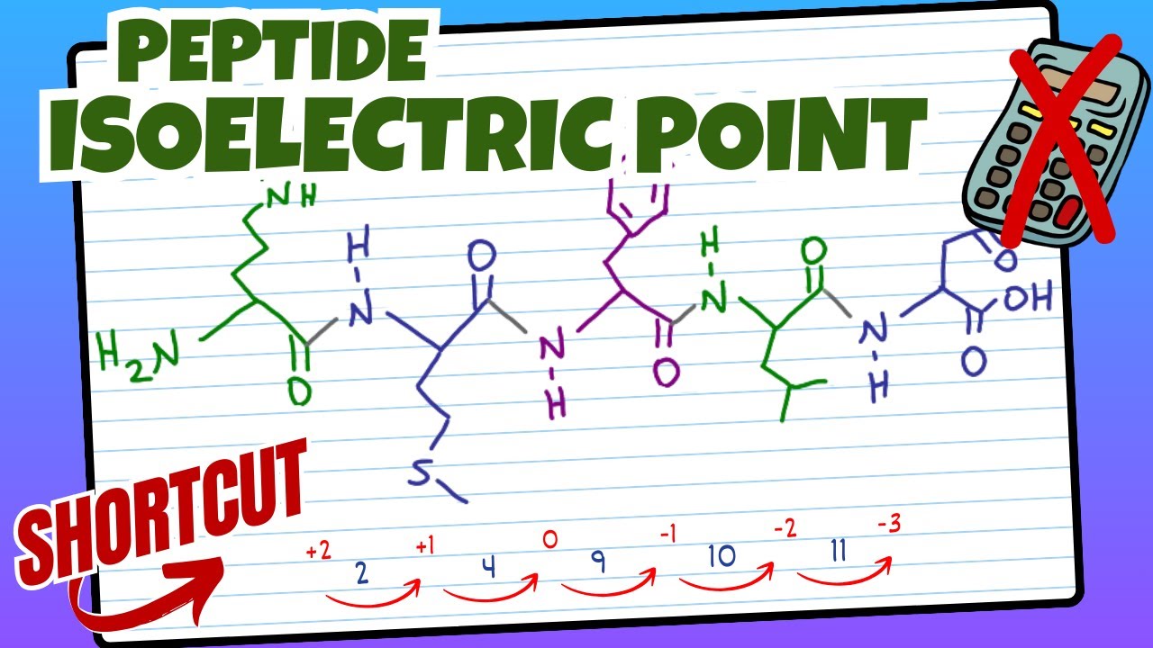 Peptide Isoelectric Point with pI Shortcut