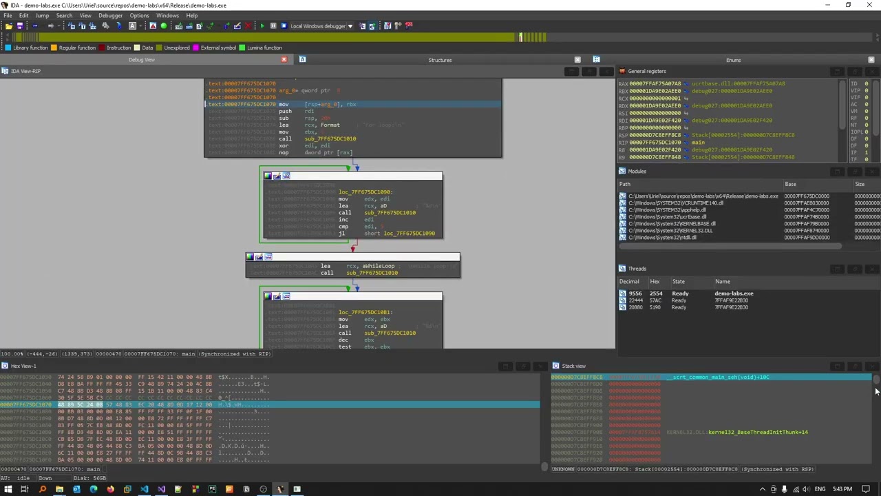 MAoS-Malware Analyst Professional - 6 Basic Reverse Engineering   Part 2