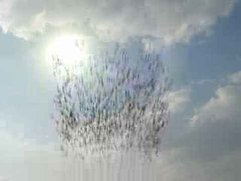 flying arrows by jergs