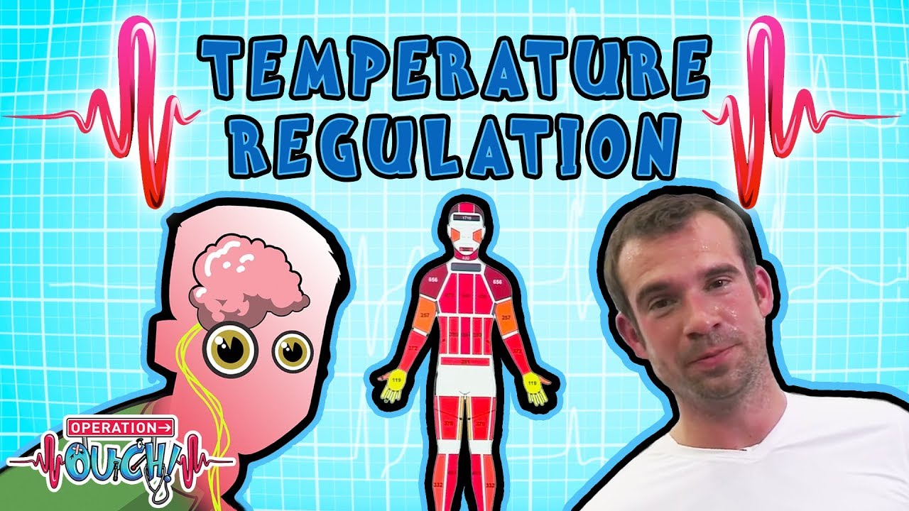 Operation Ouch - Temperature Regulation