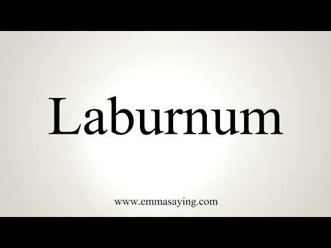 How To Pronounce Laburnum