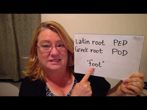Intro to PED and POD