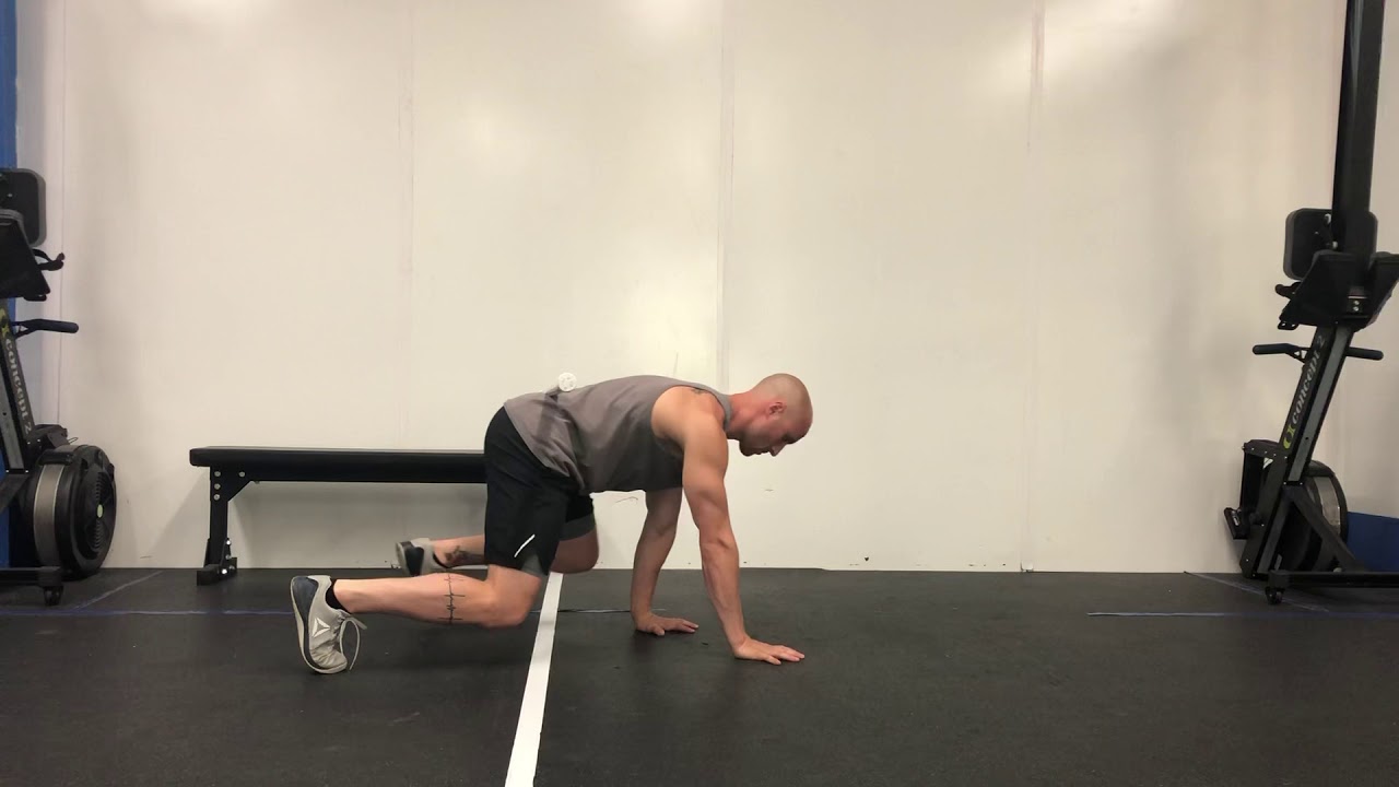 Quadruped Walk (w/ PVC)