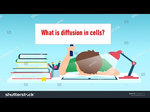 What is diffusion in biology-Transport in cells. |cells| biology| [Introduction video in biology].