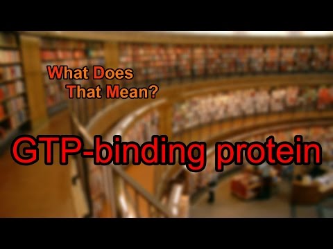 What does GTP-binding protein mean?