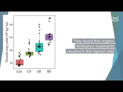 Protists as main indicators and determinants of plant performance