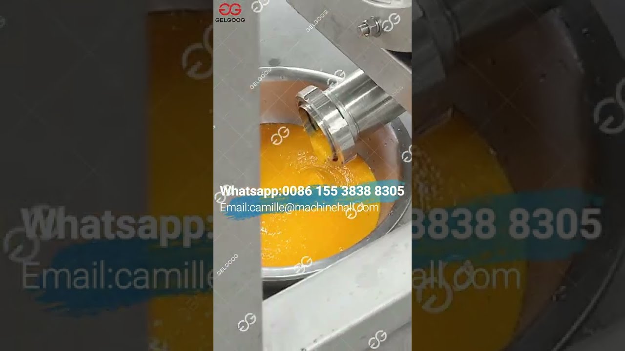 Máquina de pulpa de mango