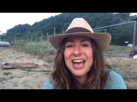 Life in Italy: Walk through our HUGE Garden at Sunrise & Tomato Growing Tips