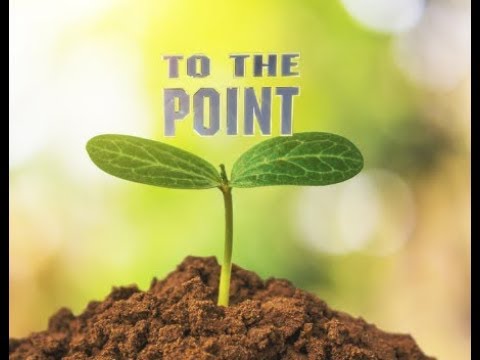 Photosynthesis and Plants