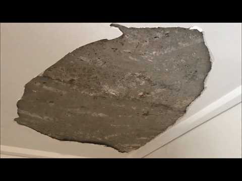 Plaster Repairs - Section of Ceiling Popped off