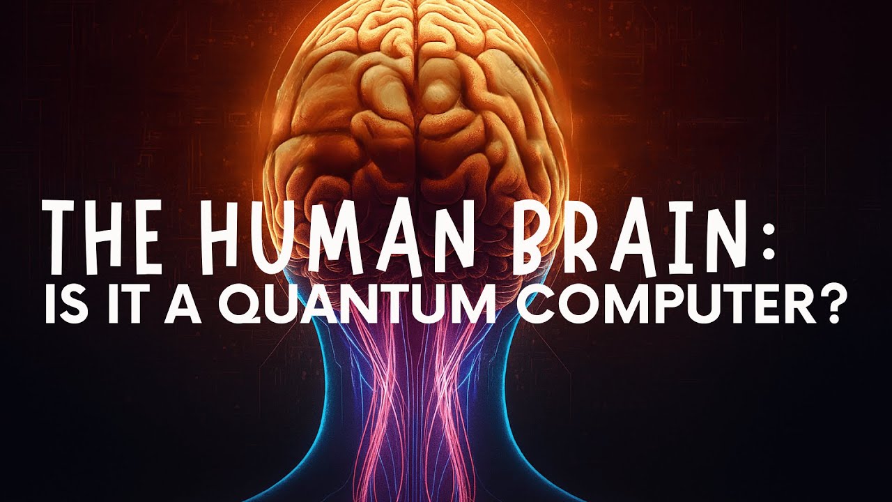 The Human Brain: Is It a Quantum Computer?