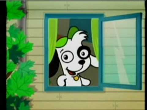 Doki,meu preferido | Doky o cachorro mais amado do mundo