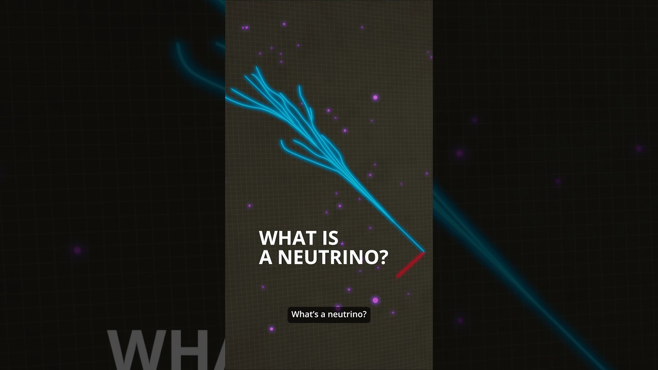 What is a neutrino? #shorts