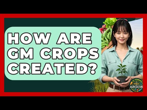 How Are GM Crops Created? - The World of Agriculture